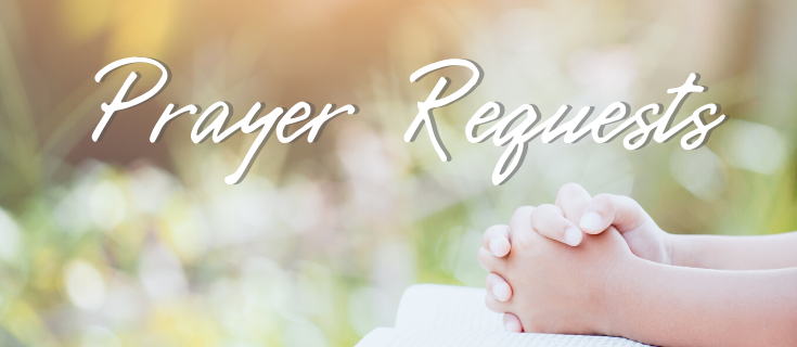 Send Us Your Prayer Requests – Love and Peace Society